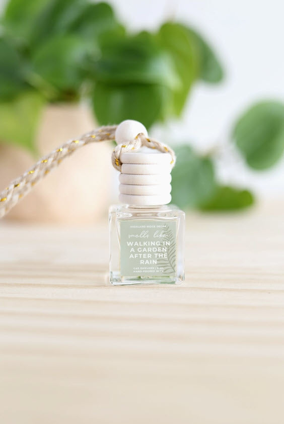 Car Diffuser – Our Rescue Store